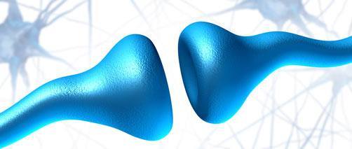 Synapse Study on Autistic Spectrum Disorders - Glutathione Pro